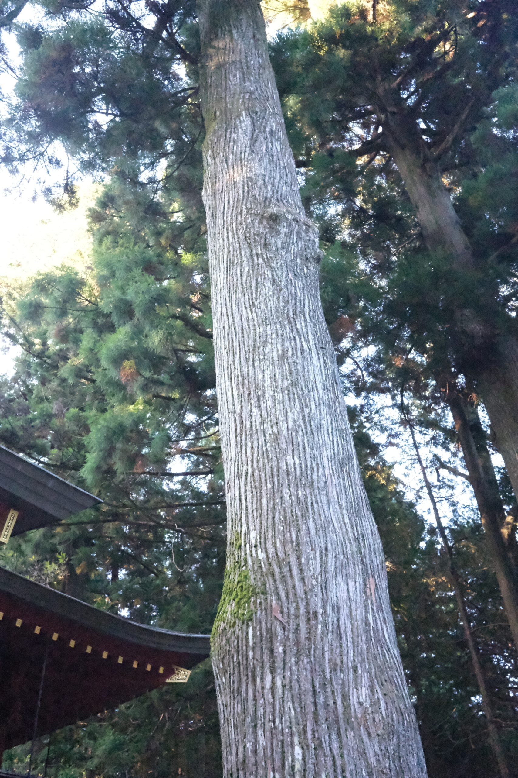 静岡県陸上自衛隊幹部であるBMW740i Mスポーツのお客様へご挨拶の旅 – 馬目宏樹先生の熱血ブログ